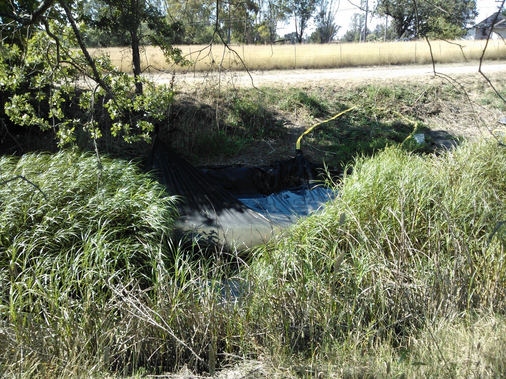 cippublic.srcity.org - /ProjLinkedFiles/